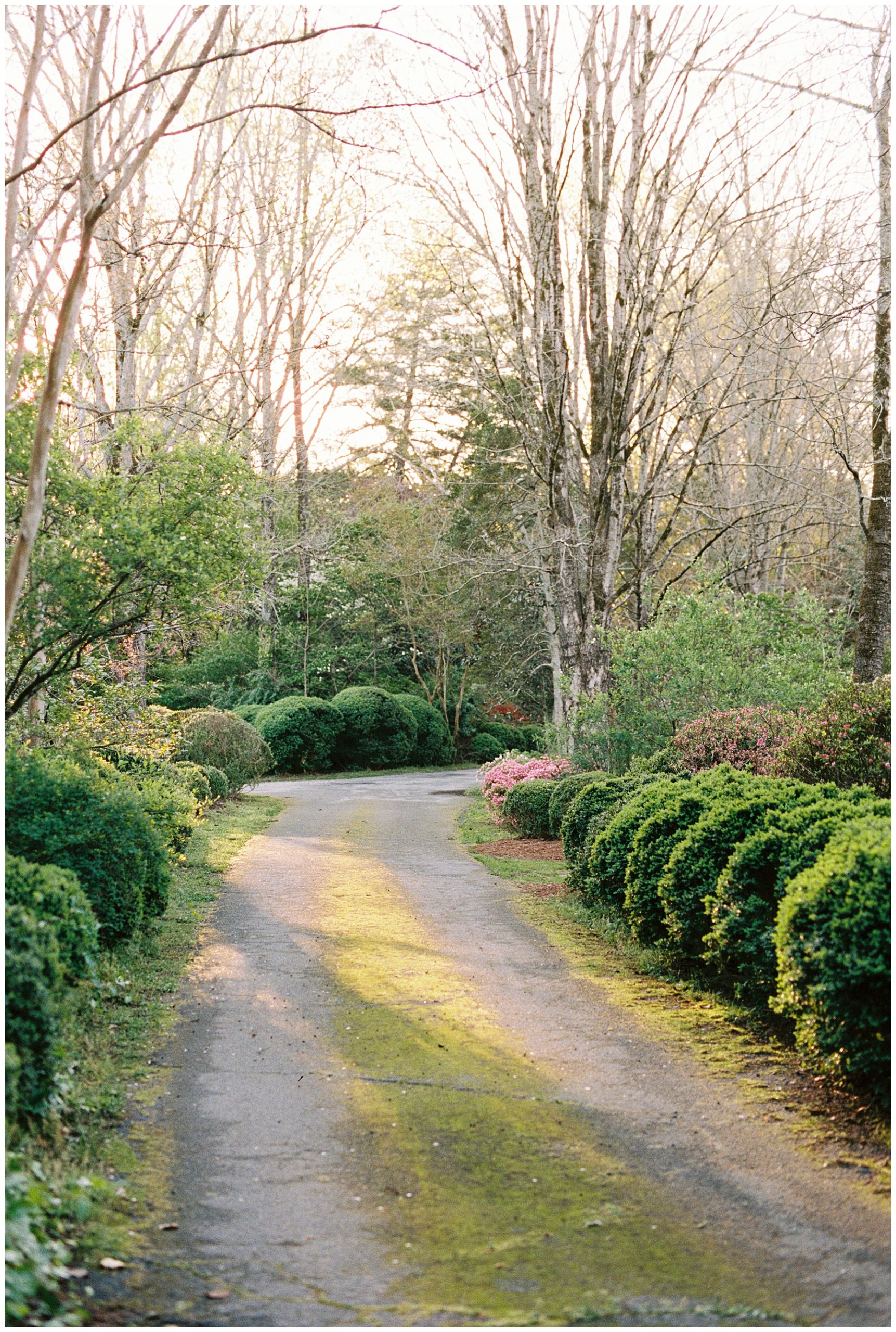 Meadowlark 1939 | An Editorial focusing on Strength in Fashion