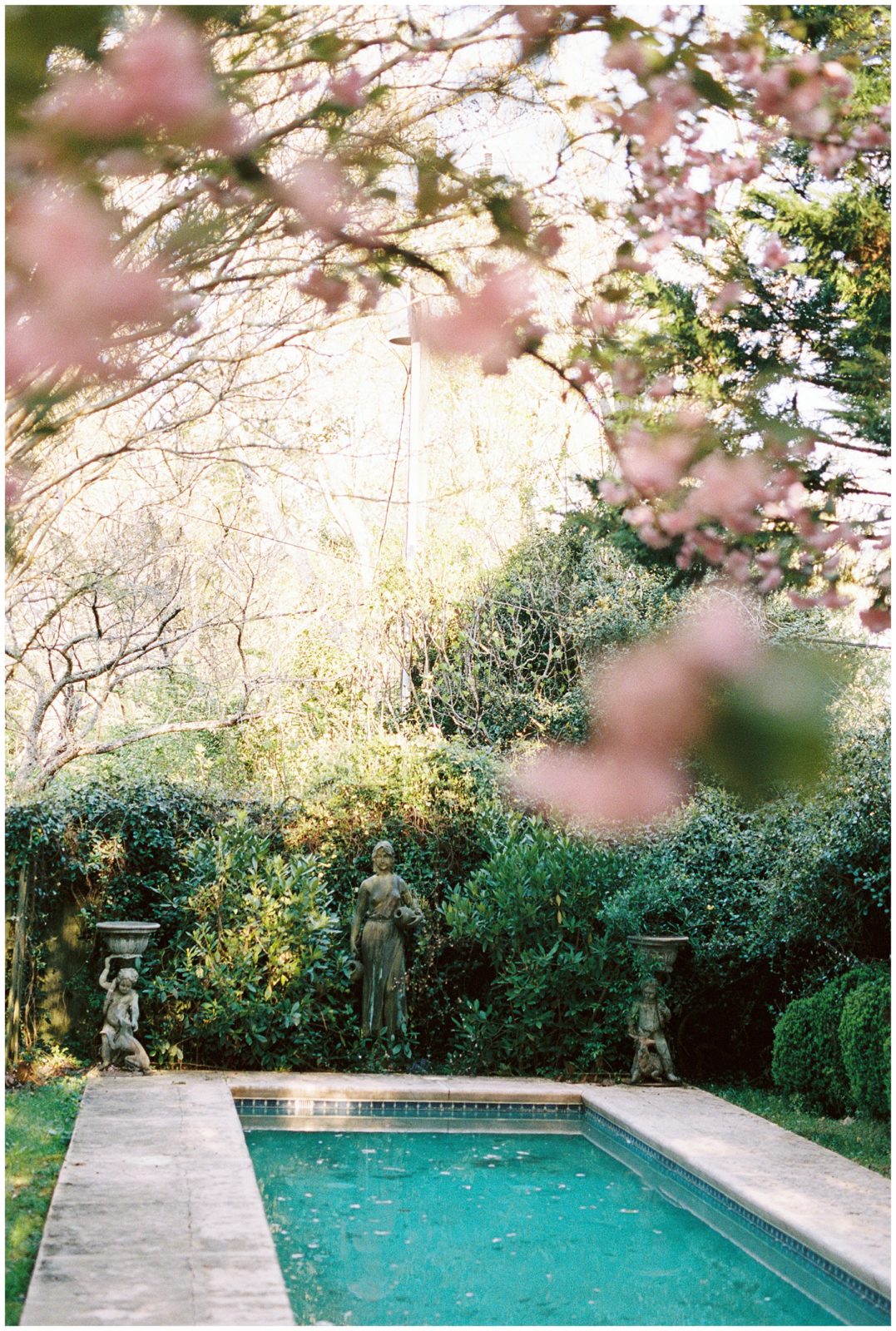 Meadowlark 1939 | An Editorial focusing on Strength in Fashion