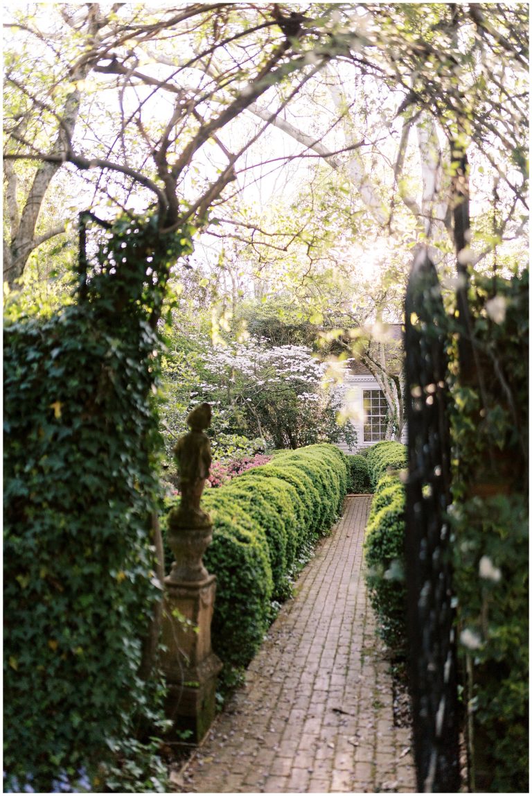 Meadowlark 1939 | An Editorial focusing on Strength in Fashion