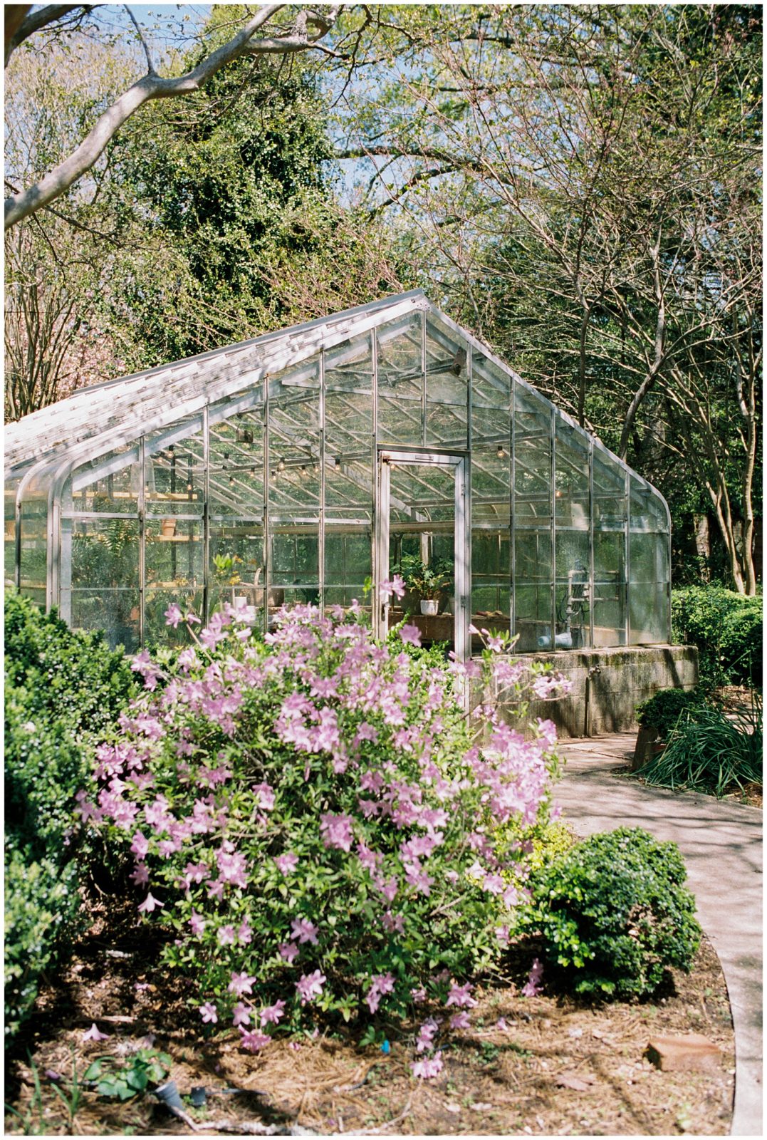 Meadowlark 1939 | An Editorial focusing on Strength in Fashion